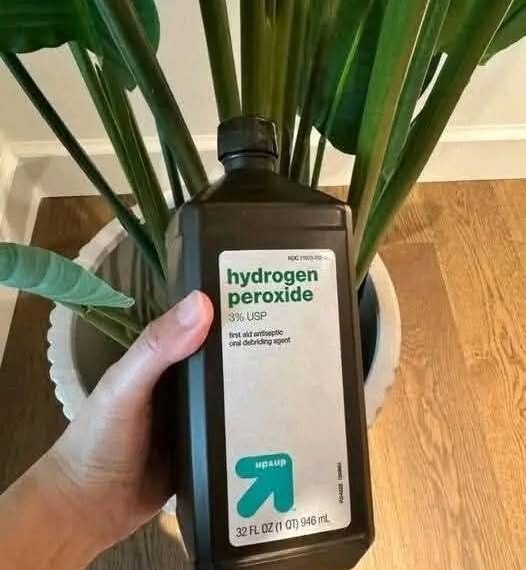 Hydrogen Peroxide Is a Gardener’s Cure-All. Here’s Why – All Recipes